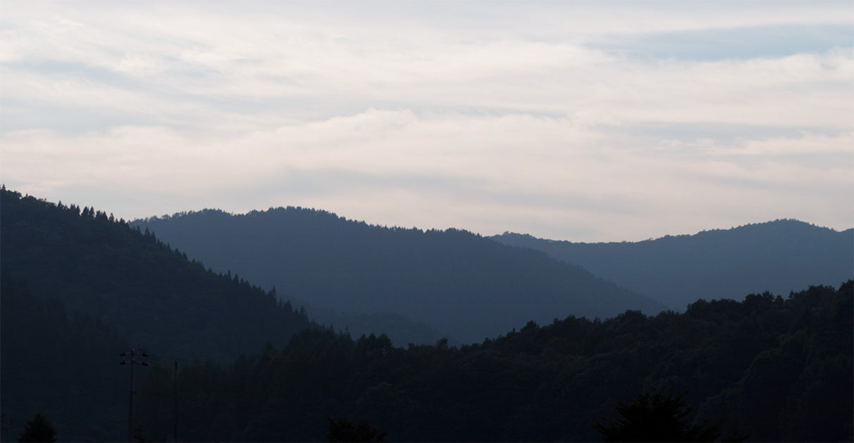 A Journey Tracing the 7QS-H – GANZO Official Store