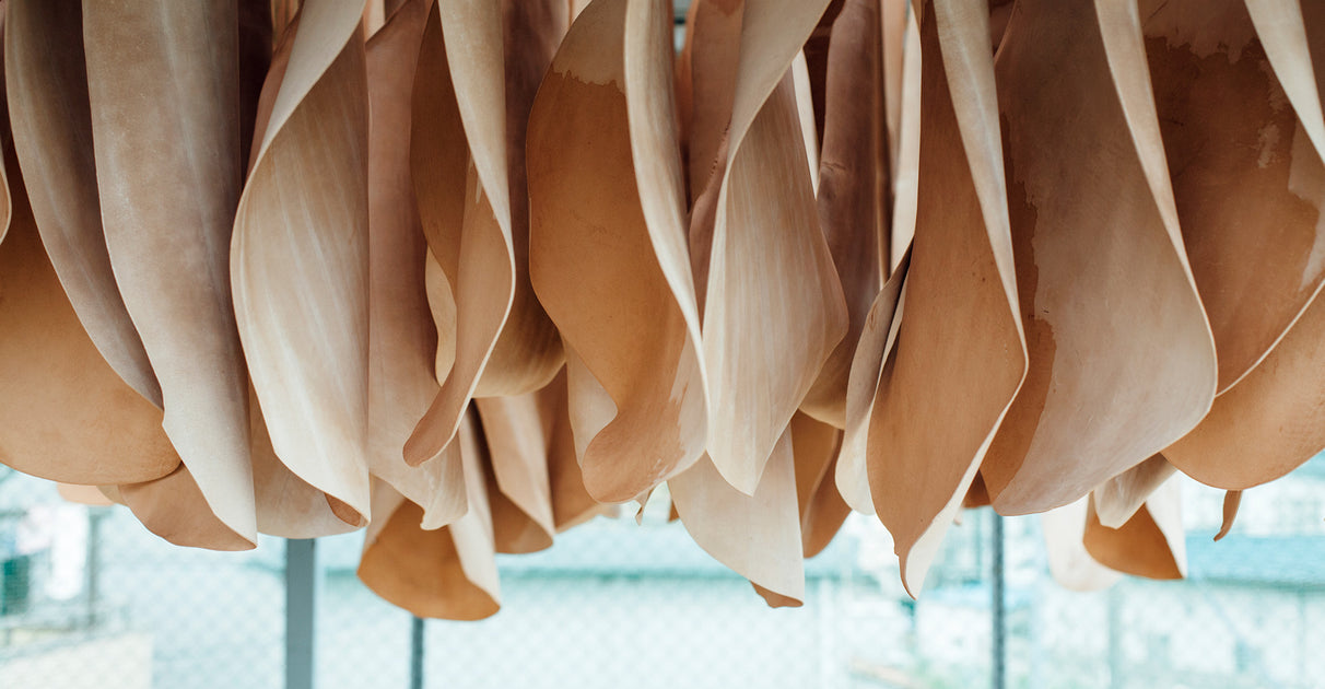 CORDOVAN - Dyeing section – GANZO Official Store